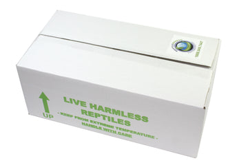 Shop Reptile Shipping Supplies | Reptile Express Inc.