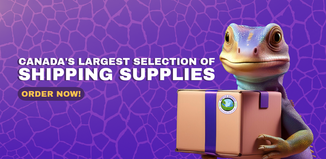 Shop Reptile Shipping Supplies | Reptile Express Inc.