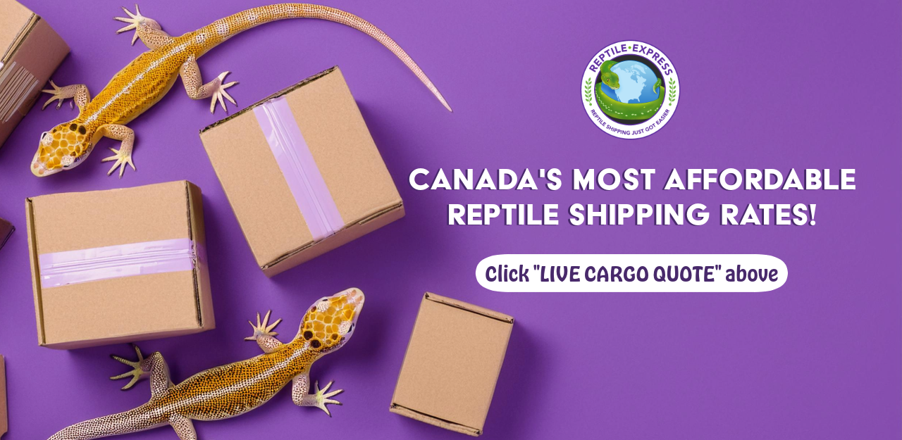 Shop Reptile Shipping Supplies | Reptile Express Inc.
