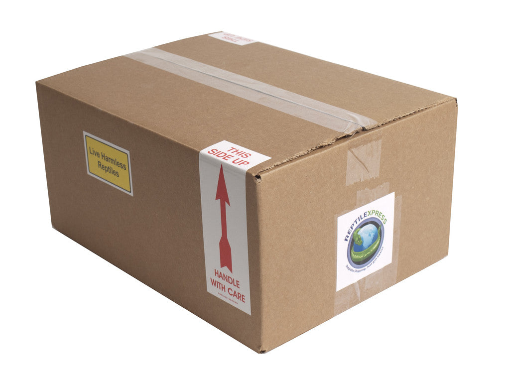 Shipping Kit#3 (Summer Kit) – Shipping Supplies